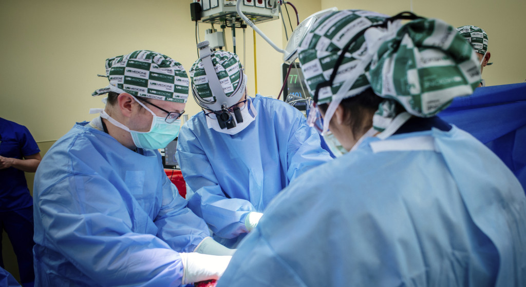 猪肾移植脑死病人成功运作月余，跨物种器官移植大突破 - 星岛环球网