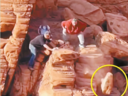 两男破坏内州远古岩层，若罪成可囚十年 | 星岛环球网