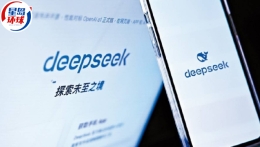 DeepSeek日赚346万惹热议，官方称理论效益非实际 | 星岛环球网